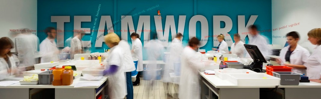 Medisch Labo Medina: “De goed verlopen stage gaf de doorslag” - Compaan